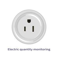 China 2000W WIFI Smart Socket 200g 120*60*40mm Mini Smart Wifi Socket for sale