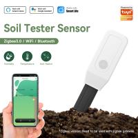 China Smart Soil Tester Sensor, Zigbee/WiFi/Bluetooth Soil Moisture & Temperature Monitor with APP Remote Control, Real-Time Data Collection, Low Battery Alert, for Garden Greenhouse Indoor Plants for sale