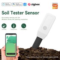 China Smart Soil Tester Sensor, Zigbee/WiFi/Bluetooth Soil Moisture & Temperature Monitor with APP Remote Control, Real-Time Data Collection, Low Battery Alert, for Garden Greenhouse Indoor Plants for sale
