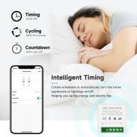 China 16A Mini ZigBee Smart Switch, Tuya App Remote Control, Works with Alexa/Google Home, DIY Module with Timing/Group/2-Way Control for sale