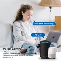 China 16A Mini ZigBee Smart Switch, Tuya App Remote Control, Works with Alexa/Google Home, DIY Module with Timing/Group/2-Way Control for sale