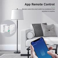 China 16A Mini ZigBee Smart Switch, Tuya App Remote Control, Works with Alexa/Google Home, DIY Module with Timing/Group/2-Way Control for sale