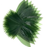 China Sushi Decoration Sashimi Fresh Bamboo Leaves Zongye 7.5cm for sale