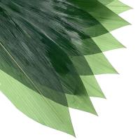 China Sushi Decoration Sashimi Fresh Bamboo Leaves Zongye 7.5cm for sale