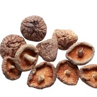 China 100g 250g 1kg 3kg Dry Shiitake Mushroom With BRC IFS ISO HACCP for sale