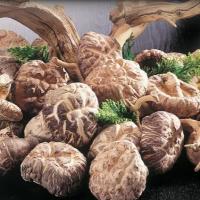China Healthy Dry Shiitake Mushroom 1kg Smooth Surface 2 Years Shelf Life for sale