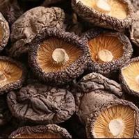 China Healthy Dry Shiitake Mushroom 1kg Smooth Surface 2 Years Shelf Life for sale