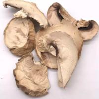 China 10x10mm Brown Japanese Dry Shiitake Mushroom Cultivation Bag Bulk for sale