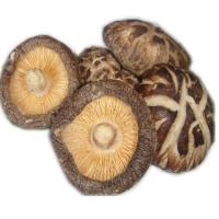China HACCP 1kg 3kg Dry Shiitake Mushroom Japanese With Good Taste for sale