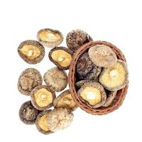 China HACCP 1kg 3kg Dry Shiitake Mushroom Japanese With Good Taste for sale