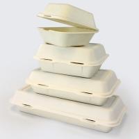 China Eco Food Serving Tools Biodegradable 1000ml Takeaway Food Container for sale