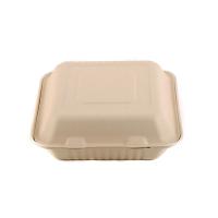 China Eco Food Serving Tools Biodegradable 1000ml Takeaway Food Container for sale