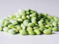 China ISO22000 HACCP Approved Frozen Edamame Pods IQF Bulk Green for sale
