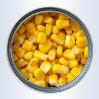 China 250G Canned Vegetables Freezing Sweet Corn Sweet Kernel Corn for sale