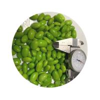 China HACCP KOSHER Frozen Shelled Edamame Beans Japanese Style for sale