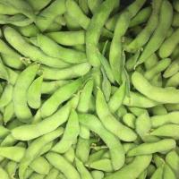 China Common Organic Frozen Edamame Beans With KOSHER BRC Certification for sale