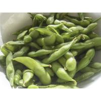 China OEM Frozen Edamame Beans Healthy Food Without Residue Damaged for sale