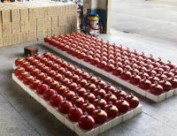 China 6L Hanging Fire Extinguishing HFC-227ea/FM200 Automatic Fire Suppression System for sale