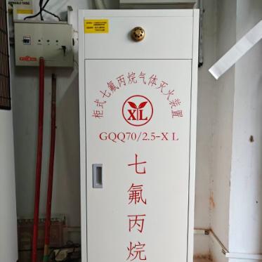 China 120L 2.5Mpa Enclosed Flooding FM200 Automatic Fire Extinguisher for sale