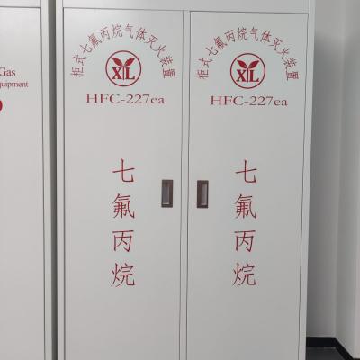 China 2.5Mpa High Safety Cabinet Fm200 Fire Extinguishing System Manufactuter Over 10-year for sale