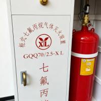 China Environment Friendly Cabinet FM200 Fire Suppression System Without Residue for sale
