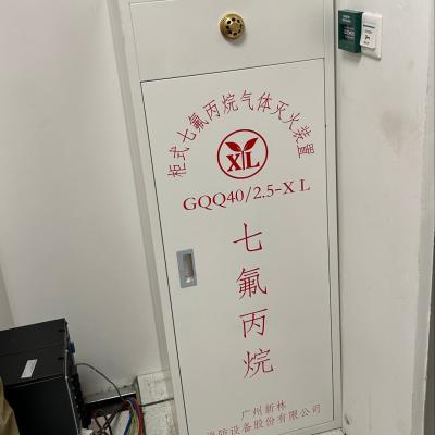 China 2.5Mpa 100L Quick Response Automatic FM200 Cabinet Fire Suppression System for sale
