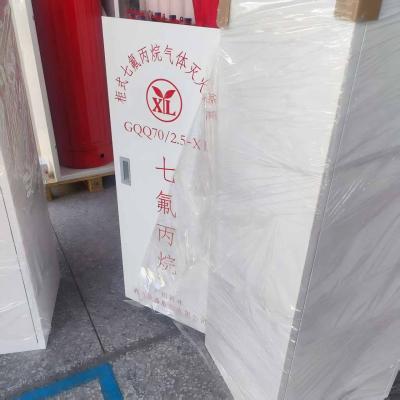 China Equipment-Safe High Efficiency Cabinet Type FM200 Fire Extinguisher for sale