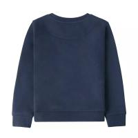 China Printed Cotton Blank Crewneck Sweatshirt Anti - Shrink Breathable for sale