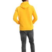 China Embroidery Men'S Sports Hoodies for sale