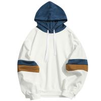 China Multicolor Blank Oversized Sweatshirts Spring Embroidered Hooded Sweatshirt for sale