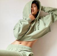 China Blank Casual 100% Cotton Oversized Sweatshirt Crop Top Hoodies for sale