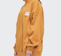 China Streetwear Winter Fleece Oversized Long Sleeve Embroidery Women O Neck Sweatshirt for sale