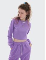 China 100% Cotton Plain Crew Neck Sweatshirt Ladies Crop Sweatshirts for sale