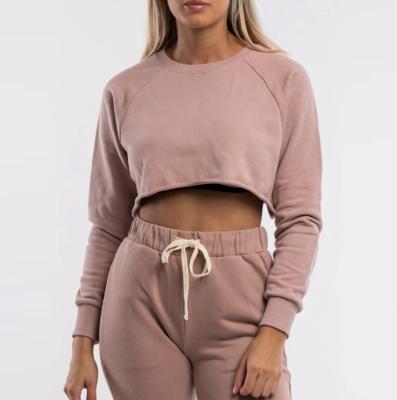 China Women Knitted 230gsm Plain Crew Neck Sweatshirt Crop Top Sweatshirt for sale