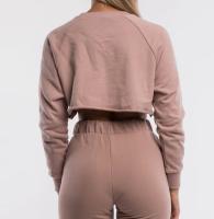 China Women Knitted 230gsm Plain Crew Neck Sweatshirt Crop Top Sweatshirt for sale