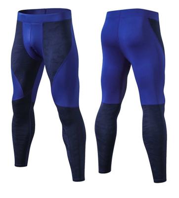 China Workout Cycling Wear Mens Workout Leggings Fitness Compression Tights Leggings for sale