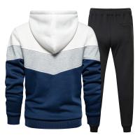 China Hooded Men'S Sports Track Suits Sportswear Track 100% Polyester Fleece Fabric for sale