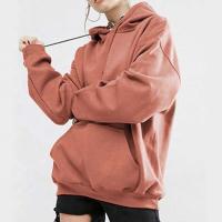 China Custom Embroidery Blank Unisex Plain Hoodies 100% Cotton Oversize Sweatshirt for sale