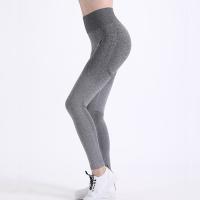 China Gradient Color Gym Tights Leggings Women Workout Fitness Running Pants for sale