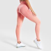 China Gradient Color Gym Tights Leggings Women Workout Fitness Running Pants for sale