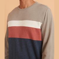 China Custom Embroidered Blank Oversized Sweatshirts Crewneck For Spring for sale