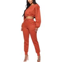 China Cotton French Terry Fleece Plain Crew Neck Sweatshirt Crop Oversize Anti Wrinkle for sale