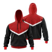China Sports Team Blank Polyester Sweatshirt Hoodies Hooded For Male for sale