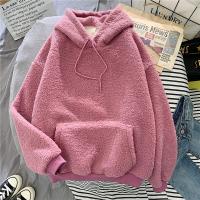 China Autumn And Winter Hooded Sweater Korean Thick Pullover Coat Anti Shrink for sale