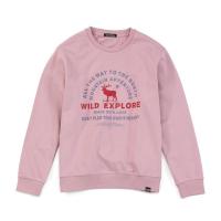 China Fleece Fabric Plain Crew Neck Sweatshirt Unisex Long Sleeve Jumper Pullover for sale