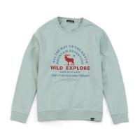China Fleece Fabric Plain Crew Neck Sweatshirt Unisex Long Sleeve Jumper Pullover for sale