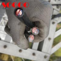 China 600V UL2586 RRU Power Cable D Type 2x10AWG 2x6mm² Shielded Outdoor for sale