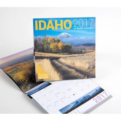 China High - End Full Color Spiral Paper Wall Calendars With Custom Printing Pattern for sale