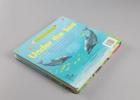 China Cute Matte Hardcover Children'S Books Printing With Spot UV And Oil Varnishing for sale