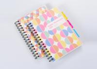 China Colorful Plastic Hard Cover Notebook / Notepad Custom Logo For Business Gift for sale